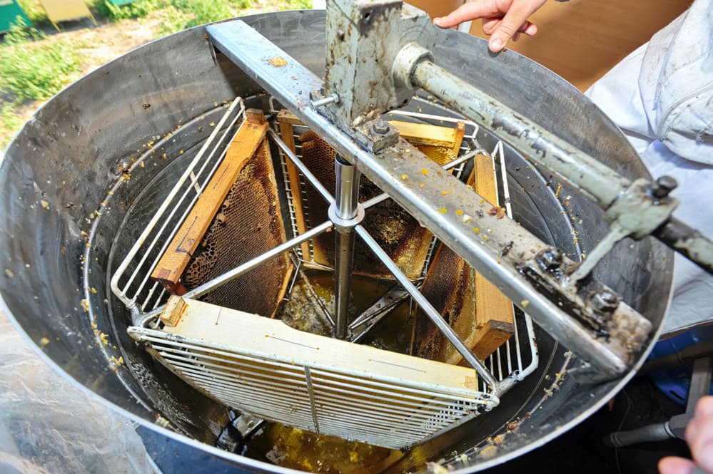 Harvesting Honey From Bees – A Beginner’s Guide | BeehiveHero